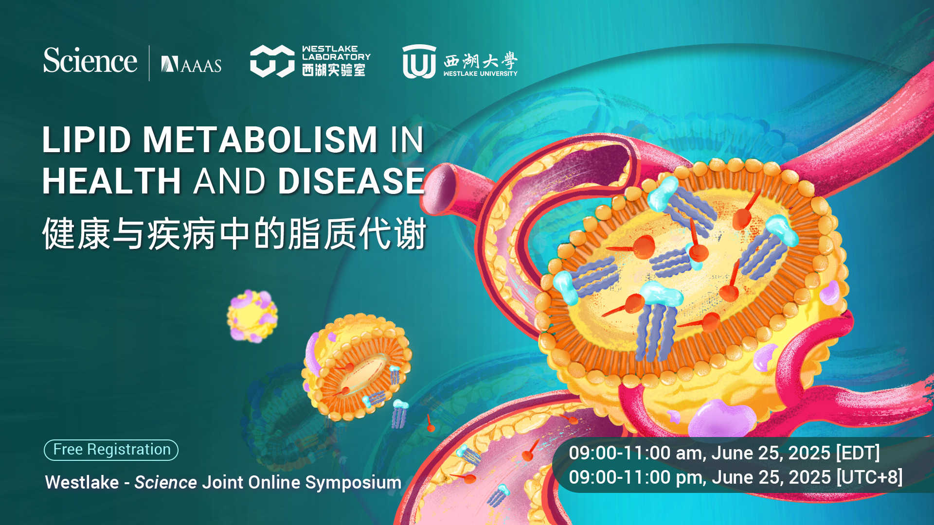 SYMPOSIUM 04 | Lipid metabolism in health and disease