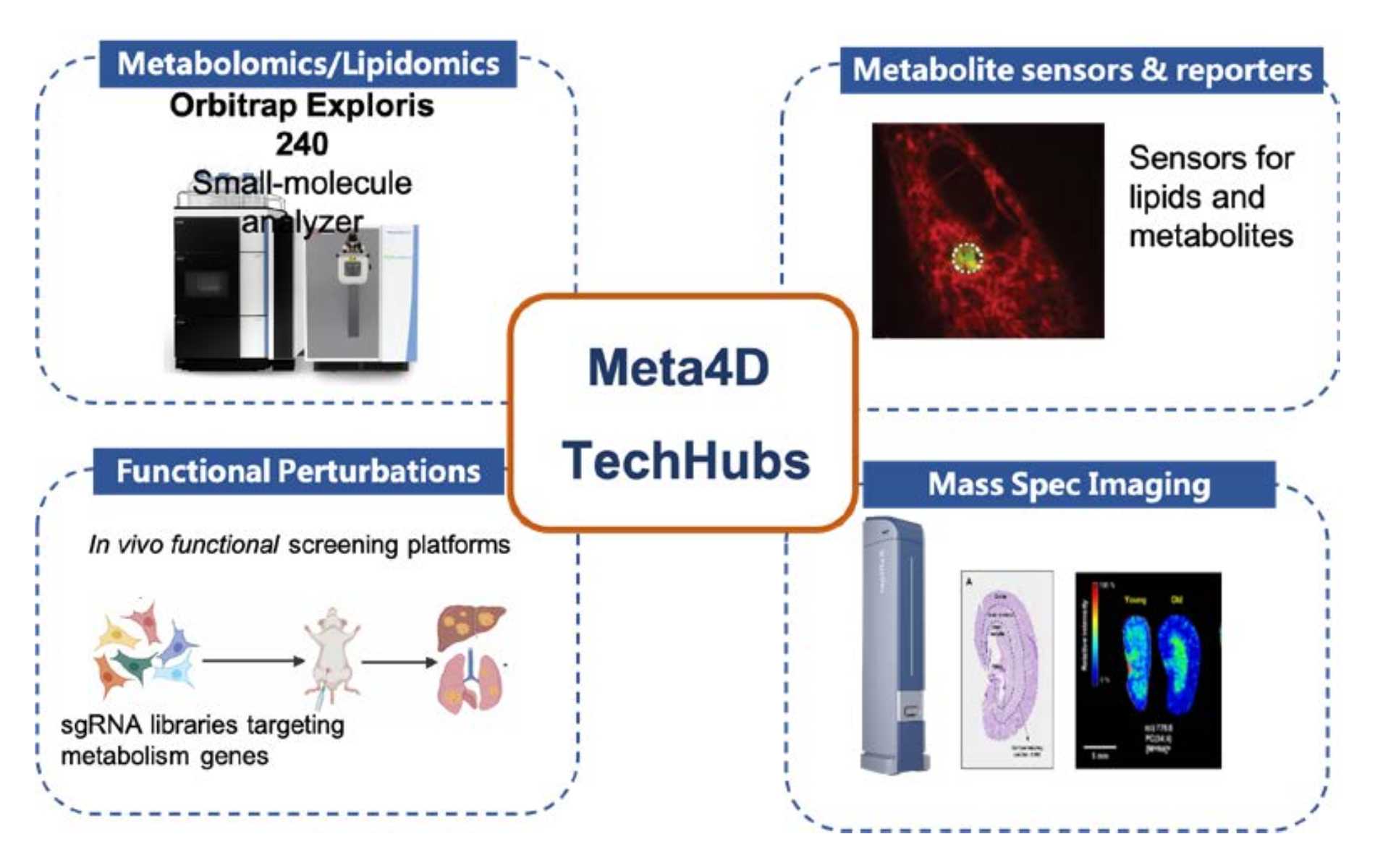 Science | Westlake Laboratory